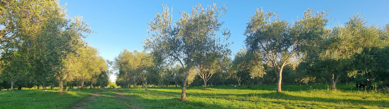 Incio Estancia Don Pacho